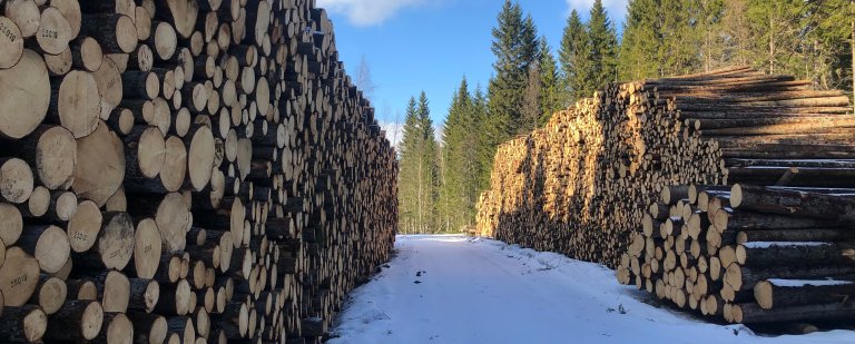 Norsk landbruk - tall og fakta - Landbruksdirektoratet